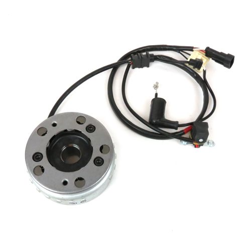 ScooterWest.com - Stator & Flywheel Fly 150 3-Valve